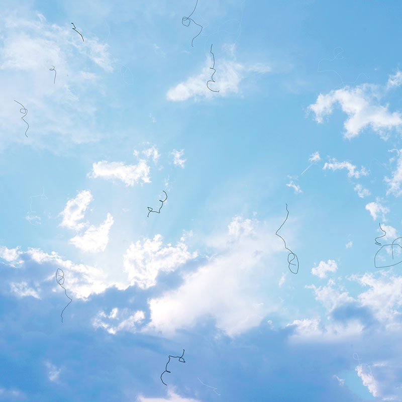 Supplements for floaters – Butterflies Eyecare